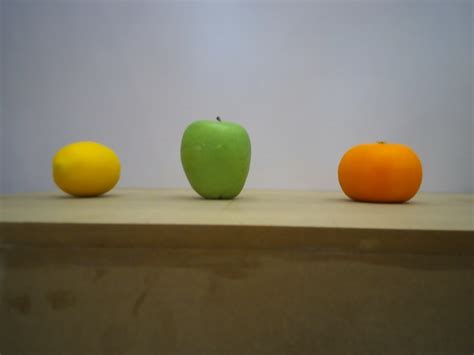 All Fall Object Detection Model By Elysian