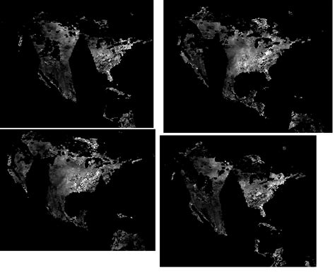 Raster Standard Deviation And Average Over 1000 Images With Random