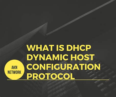 dhcp dynamic host configuration protocol what is dhcp dhcp port akn network