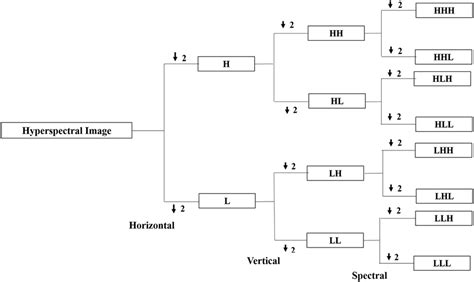 3d Discrete Wavelet Transform‐based Feature Extraction For