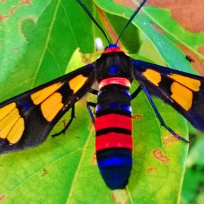 Goa Photographer Tarang Naique Tumblr Com Tumbex