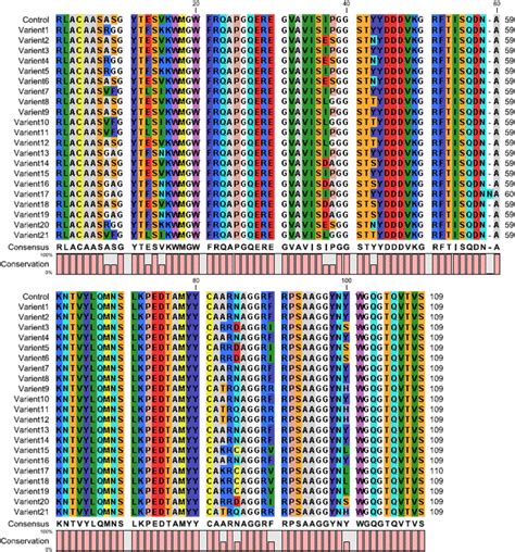 Illustration Of Mutations Sequences Alignment Alignments Generated By Illustration Of Mutations Sequences Alignment Alignments Generated By