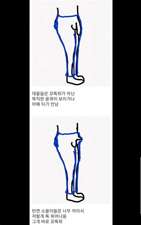 헬스장에서 소물 대물 구별방법 유머 움짤 이슈 에펨코리아