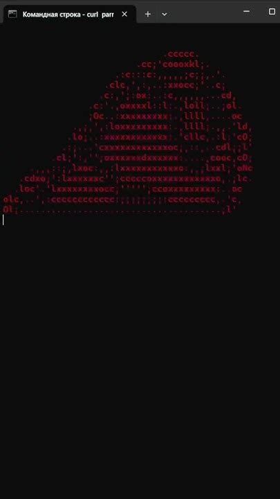 Попугай в терминале Coding Python Programming Javascript Cod Webdesign Pythonprogramming