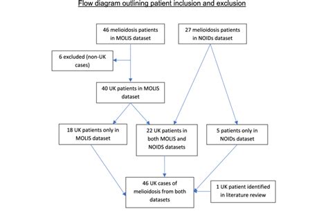 Flow Diagram Of Cases From Each Of The Datasets Contributing To The Download Scientific Diagram