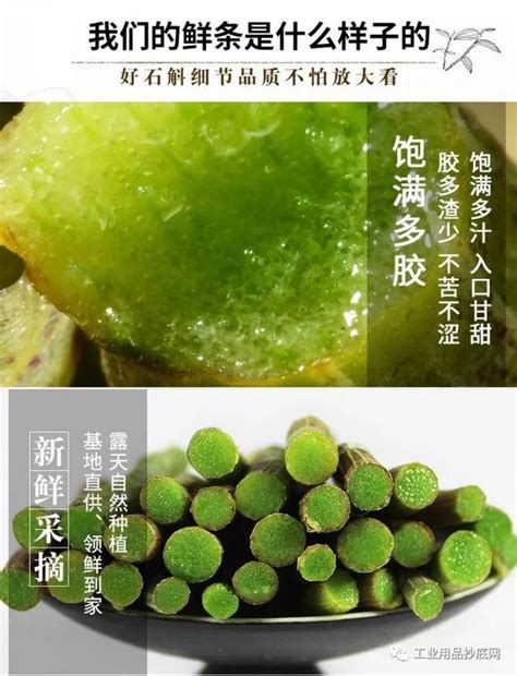 今天不養生明天養醫生是時候試試鐵皮石斛的威力了 每日頭條