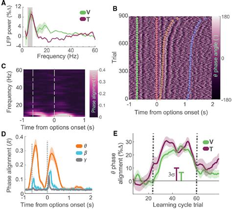 Figure 2 From Closed Loop Theta Stimulation In The Orbitofrontal Cortex