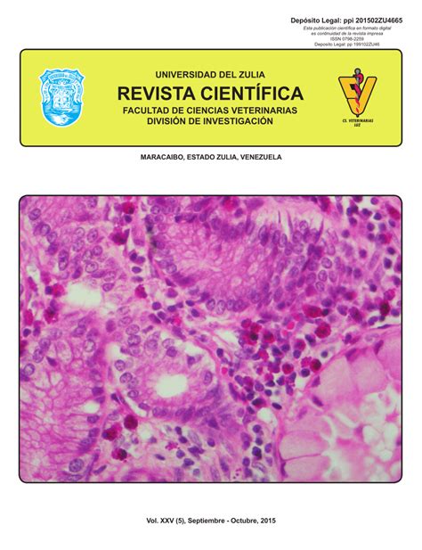 Pdf Comparison Of Agid And Celisa Test For Equine Infectious Anemia