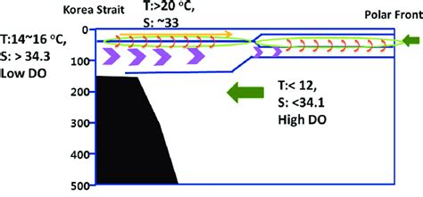 A Schematic Diagram Of Nutrient Flux From The Advection Of Water Mass Download Scientific