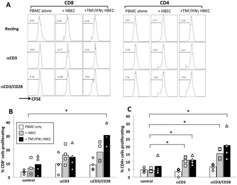 A Cfse Histogram Plots Of Gated Cd4 Left Panel And Cd8 Right Download Scientific Diagram