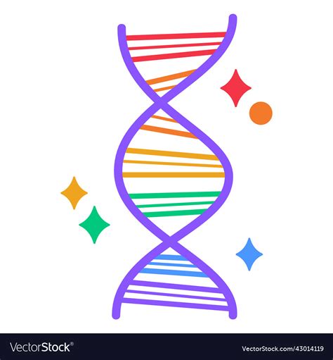 Dna Rainbow Color Stroke Royalty Free Vector Image