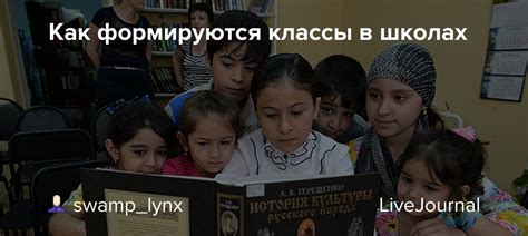 Как формируются классы в школах Swamp Lynx — Livejournal