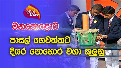 Nugasewana මහපොළොව 2022 10 20 Rupavahini Youtube