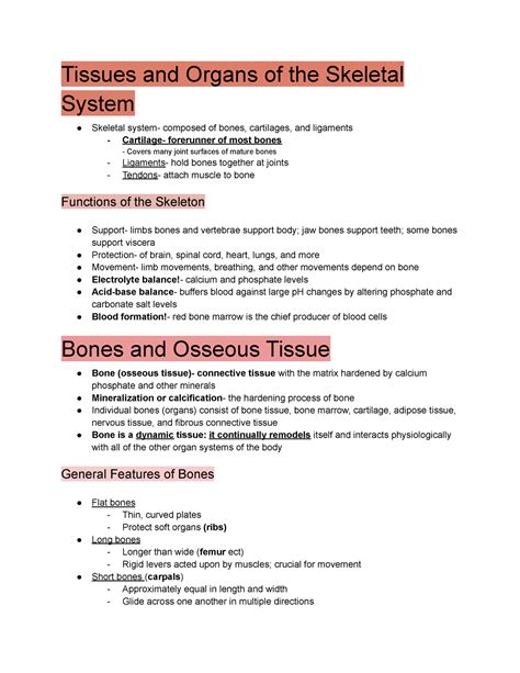 Ch 7 PPT Chapter 7 Notes Tissues And Organs Of The Skeletal System Skeletal System