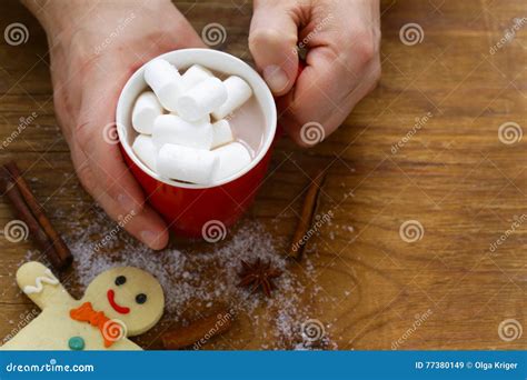 Man Holding A Mug Hot Cocoa With Marshmallows Christmas Drink Stock Image Image Of Male