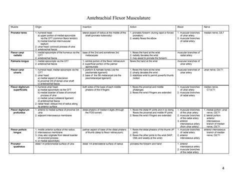 Muscle Attachment Table Compartment Wise Ppt