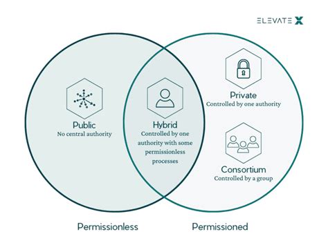 The 4 Blockchain Types Explained