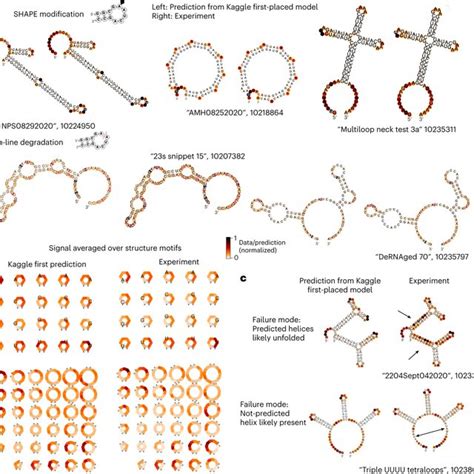 Deep Learning Models Can Represent Rna Structure Based Observables A