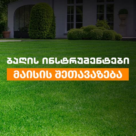 Domino • დომინო Domino • დომინო Added A New Photo