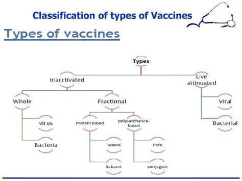 Ppt Principles Of Immunization Powerpoint Presentation Free Download Id 9250617