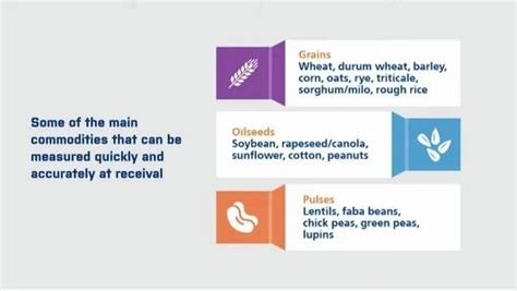 Double Beam Benchtop Foss Nir Grain Analyzer For Grains Model Name Number Infratec At