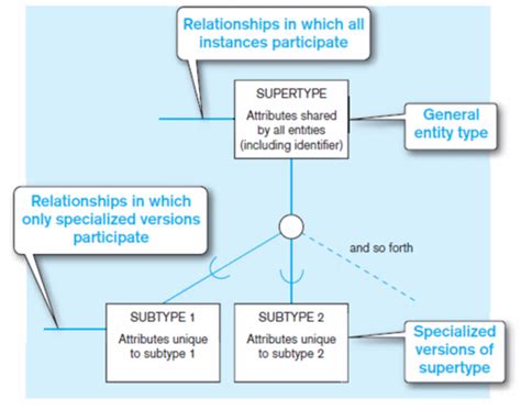 edm chapter 3 the enhanced e r model flashcards quizlet