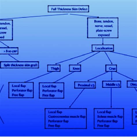 The Preferred Reconstruction Algorithm For Lower Extremity Reconstruction Download Scientific