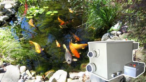 Koi Pond Filtration Tips Expert Pond Filter Advice