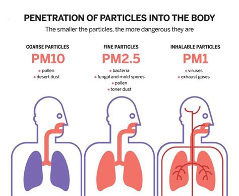 The Dangers Of Pm1 Particulate Matter What You Need To Know
