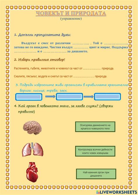 Човек и природа 3 клас Online Exercise For Live Worksheets