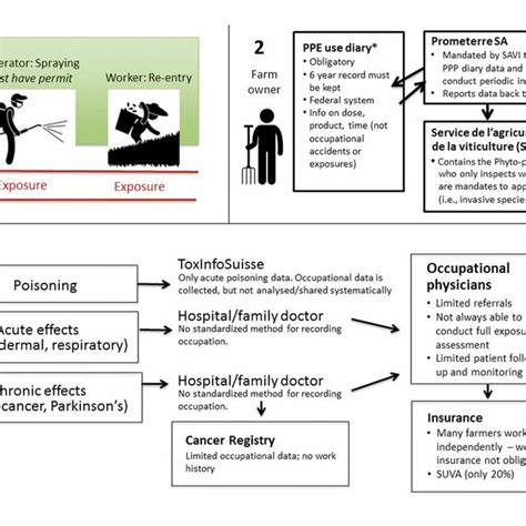 Information Flow Diagram Of The Generalised Process Of Occupational Ppp Download Scientific