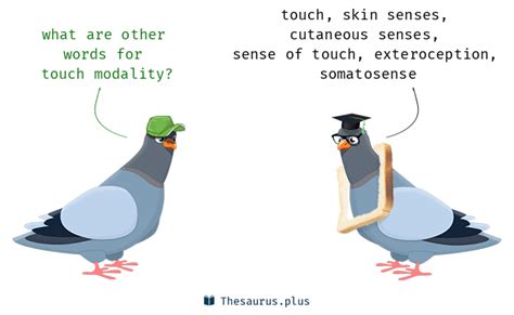 6 Touch Modality Synonyms Similar Words For Touch Modality