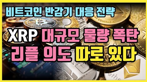 리플랩스 의도는 좋으나전략적이지만⎮ 비트코인 이더리움 리플 비트코인etf 비트코인가격 비트코인전망 크립토 블라블라 Youtube