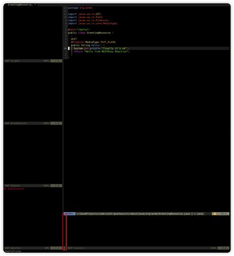 Dap Repl Window Width Is Not Correct After Trigger Debug Session Twice · Issue 236 · Rcarriga