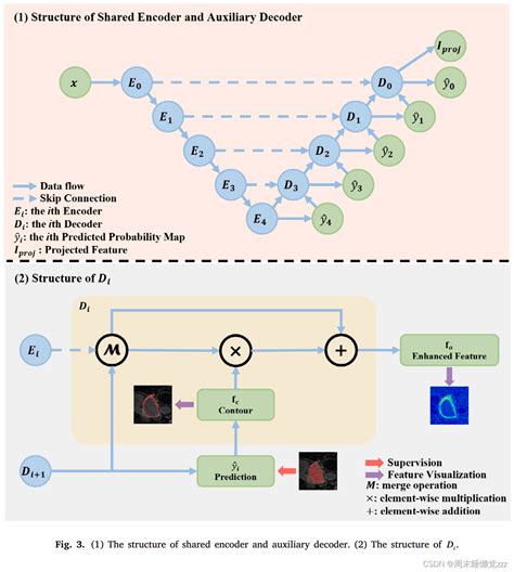 半监督医学图像分割二contour Aware Consistency For Semi Supervised Medical Image Segmentation Csdn博客