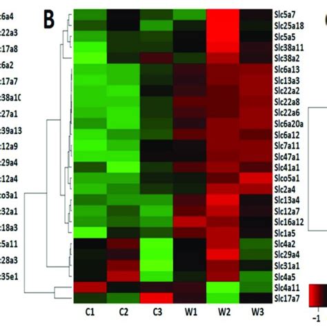 Heatmap Visualization The Heatmap Analysis Based On Expression Download Scientific Diagram