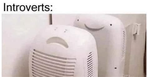 As An Extroverted Introvert Im Okay With Both Album On Imgur