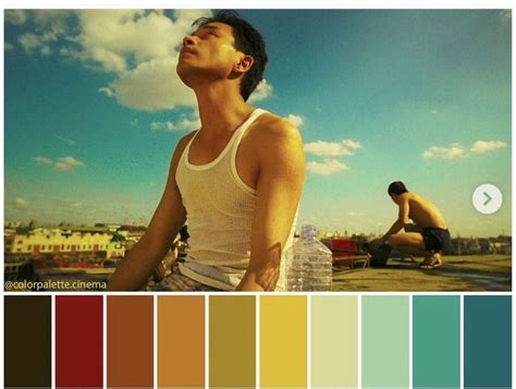 Cinematic Color Palette Warm Film Color Palette Movie Color Happy