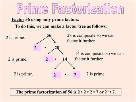 Ppt Prime Factorization Greatest Common Factors Least Common Multiples Powerpoint