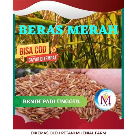 Jual Benih Padi Beras Merah Kg Shopee Indonesia