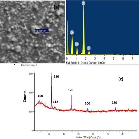 Sem Images Functionalized Silica Nanoparticles A Showing Surface Download Scientific Diagram