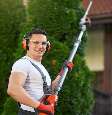 Tree Removal Service NJ Tree Services New Jersey