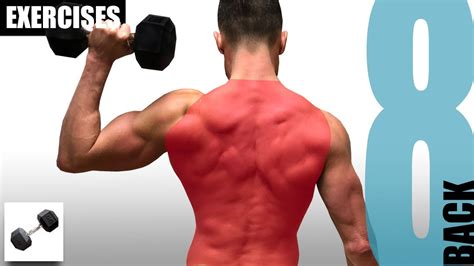 Printable Dumbbell Back Exercises