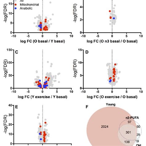 Whole Muscle Transcriptomics Transcriptional Patterns In Skeletal
