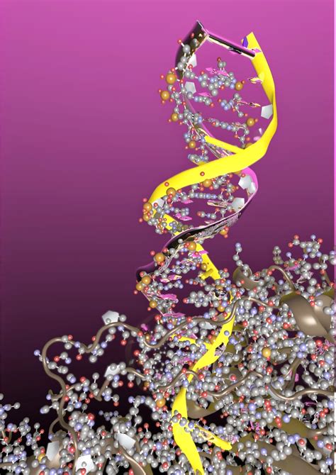 Large Scale And Interactive Scientific Visualization Molecular Visualization