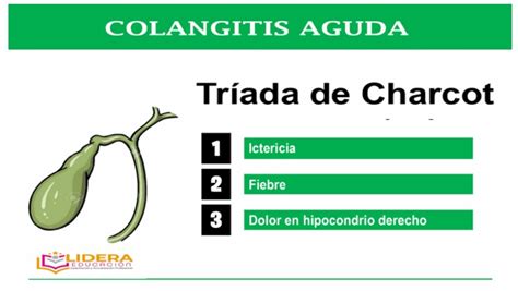 Triada De Charcot Pdf