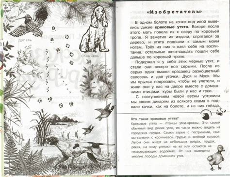 Книга Рассказы о природе Михаил Пришвин Купить книгу читать рецензии Лабиринт