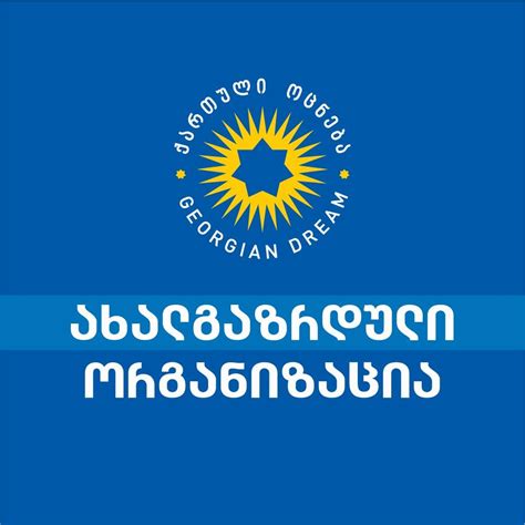 ქართული ოცნება ფოთის ახალგაზრდული ორგანიზაცია