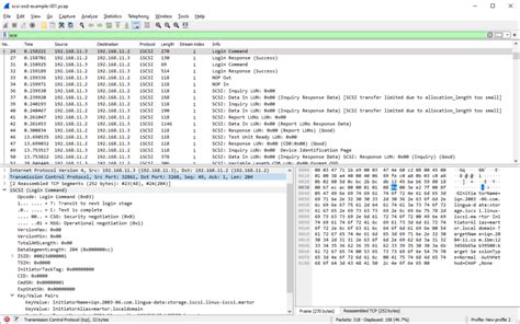 Wireshark Network Analyzer Software In Depth Review The Cto Club