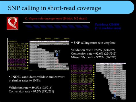 Ppt Informatics For Next Generation Sequence Analysis Snp Calling
